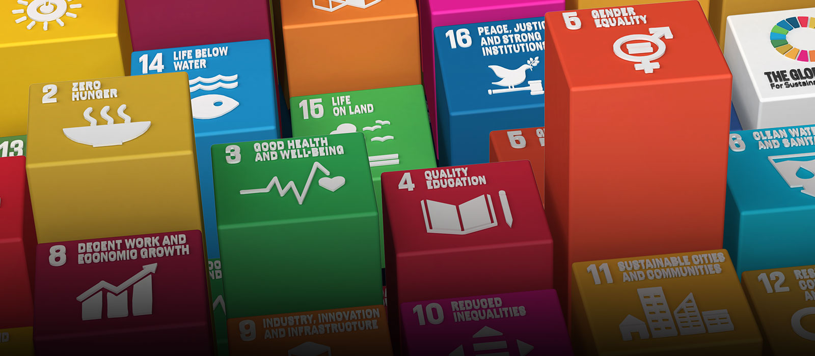 Sustainability - BDS Sponsorship Ltd